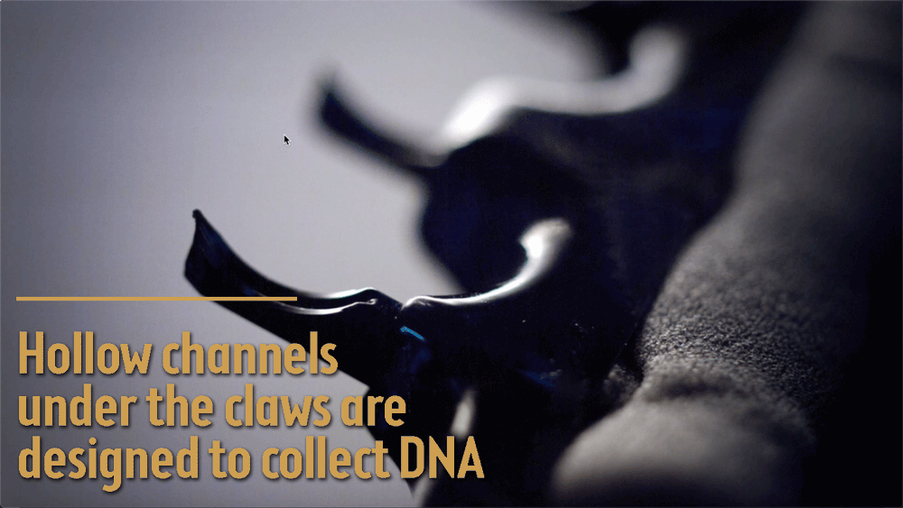 Women's Self Defense - Natural scratching tool for women's safety